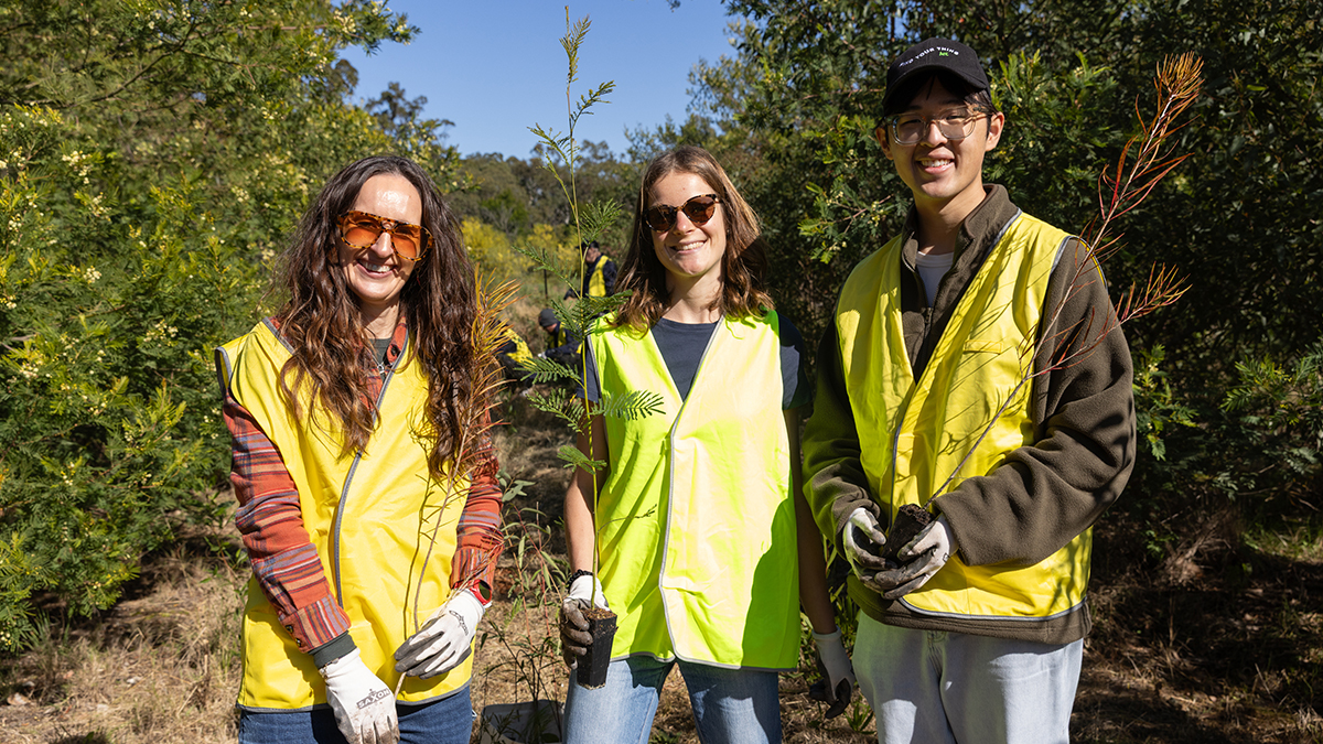 1200 trees planted to restore endangered Sydney forest | Inside UNSW