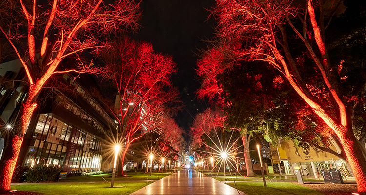 NAIDOC Week: Voice. Treaty. Truth. | Inside UNSW NAIDOC Week: Voice. Treaty. Truth. | Inside UNSW